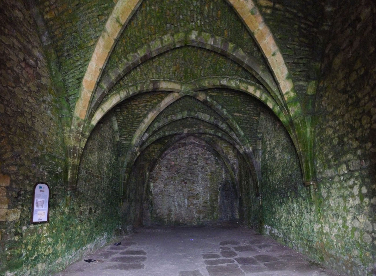 Chepstow - castle - Ancient and medieval architecture