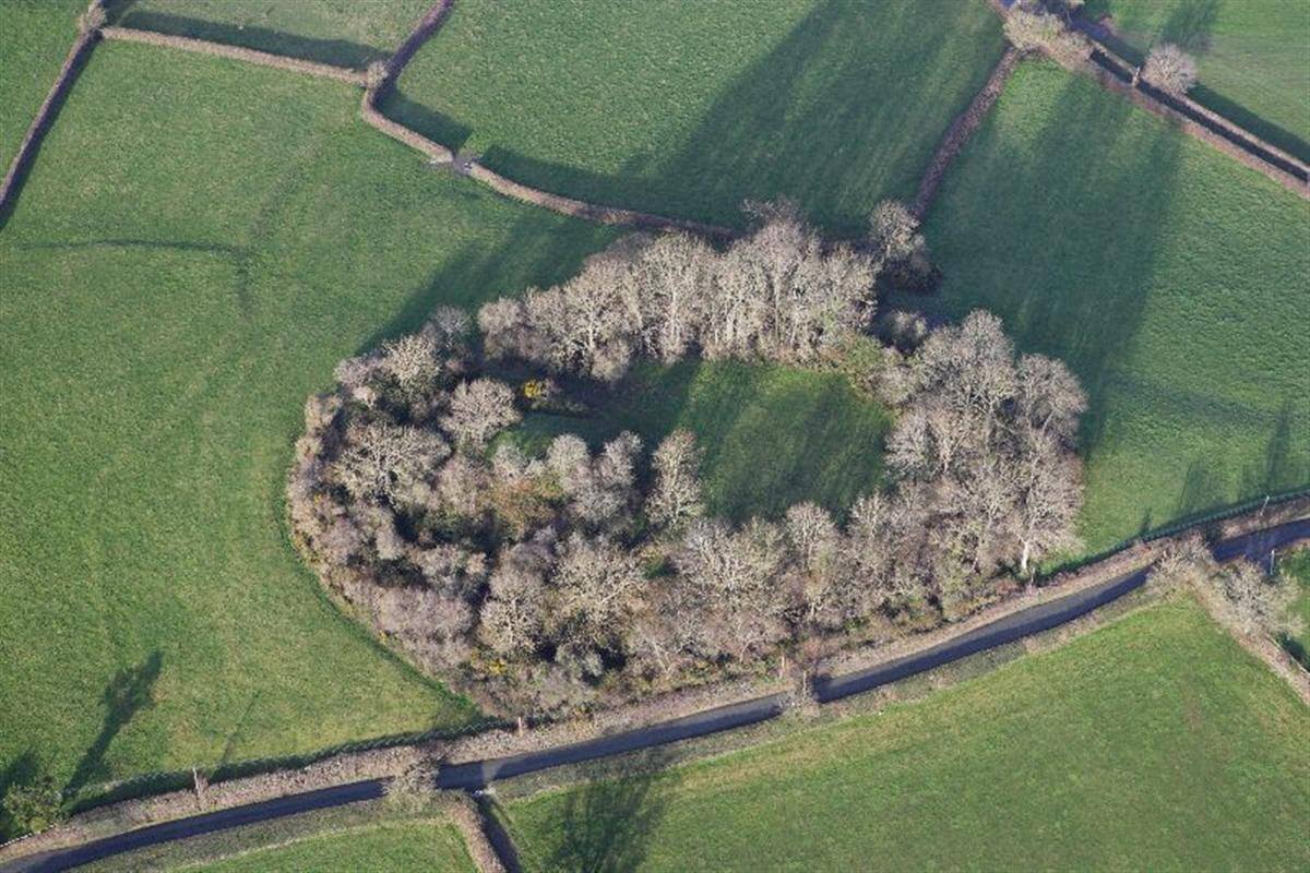 Hen Domen - castle - Ancient and medieval architecture